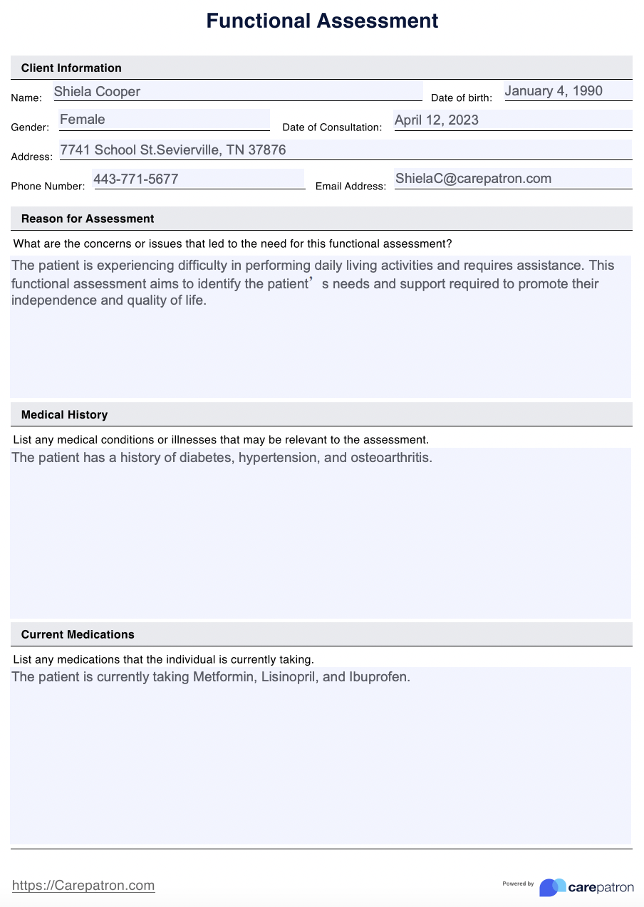 Functional Assessment & Example | Free PDF Download